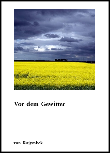 Gedichte: Vor dem Gewitter von Rajymbek
